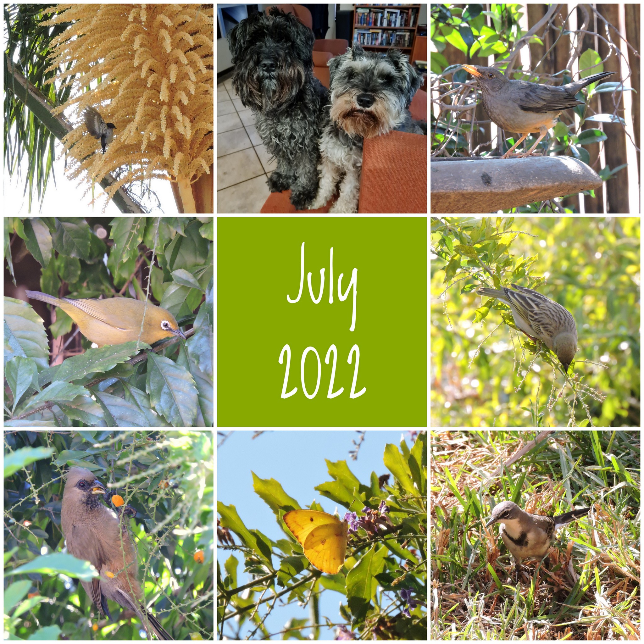 July 2022 | Hermien's Photo Project