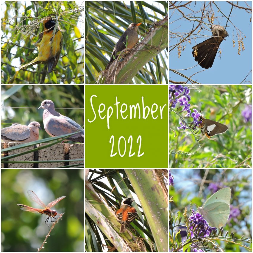 September 2022 | Hermien's Photo Project