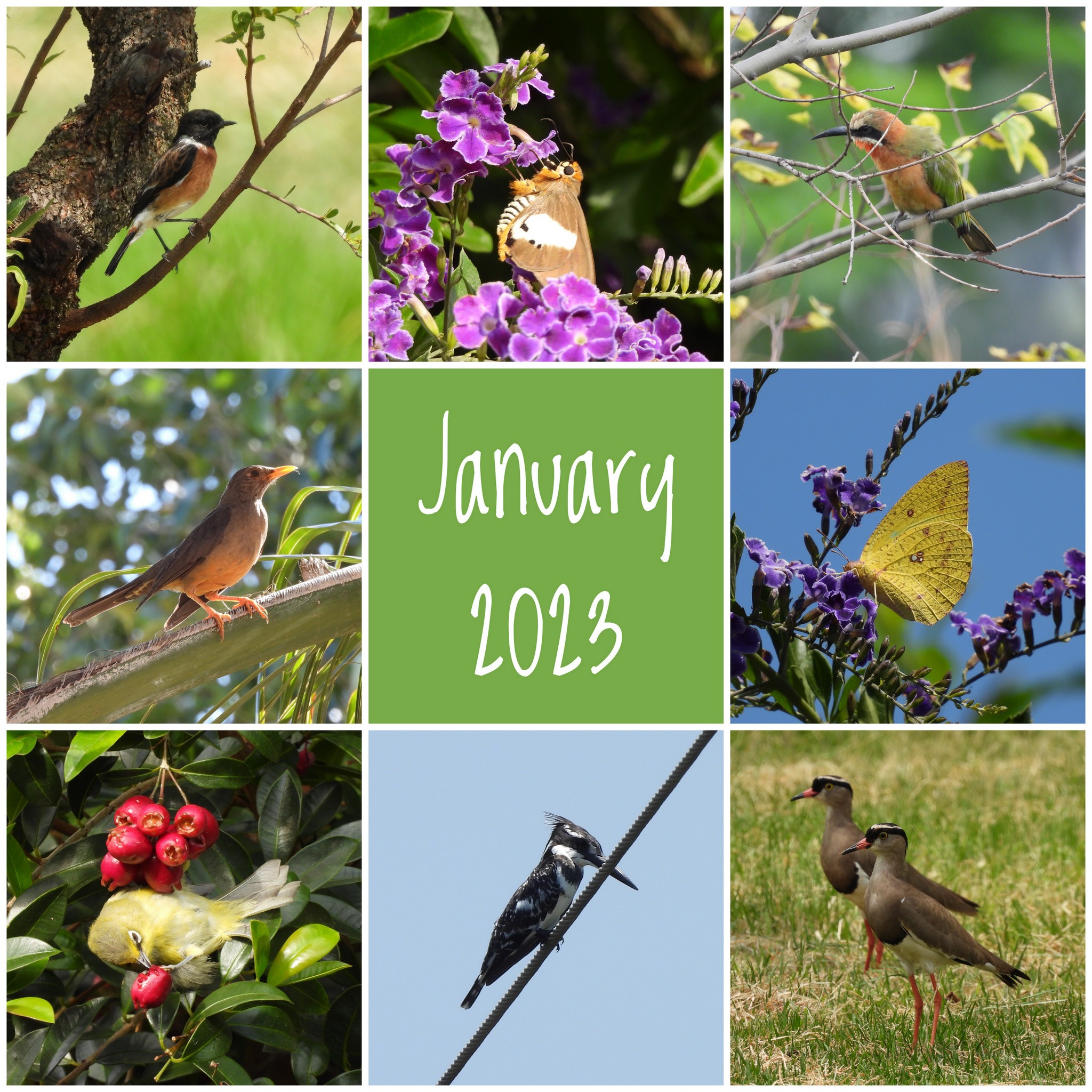 January 2023 | Hermien's Photo Project