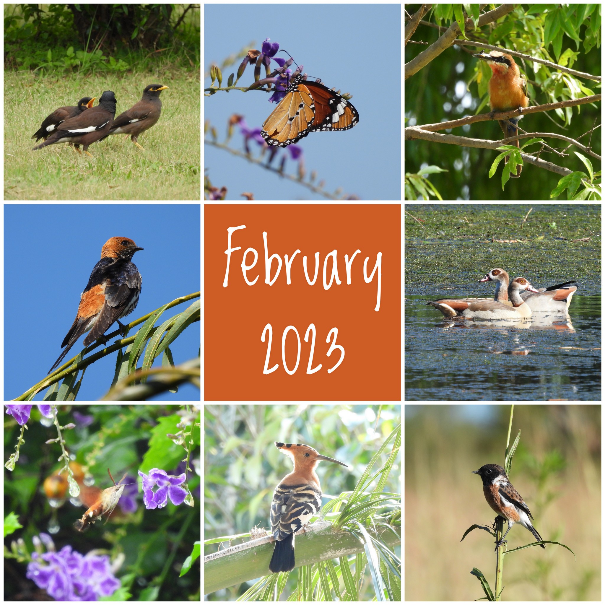 February 2023 | Hermien's Photo Project