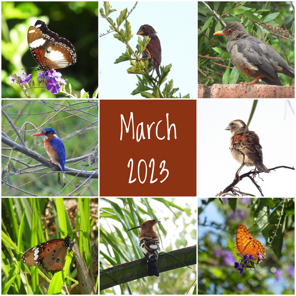 March 2023 | Hermien's Photo Project