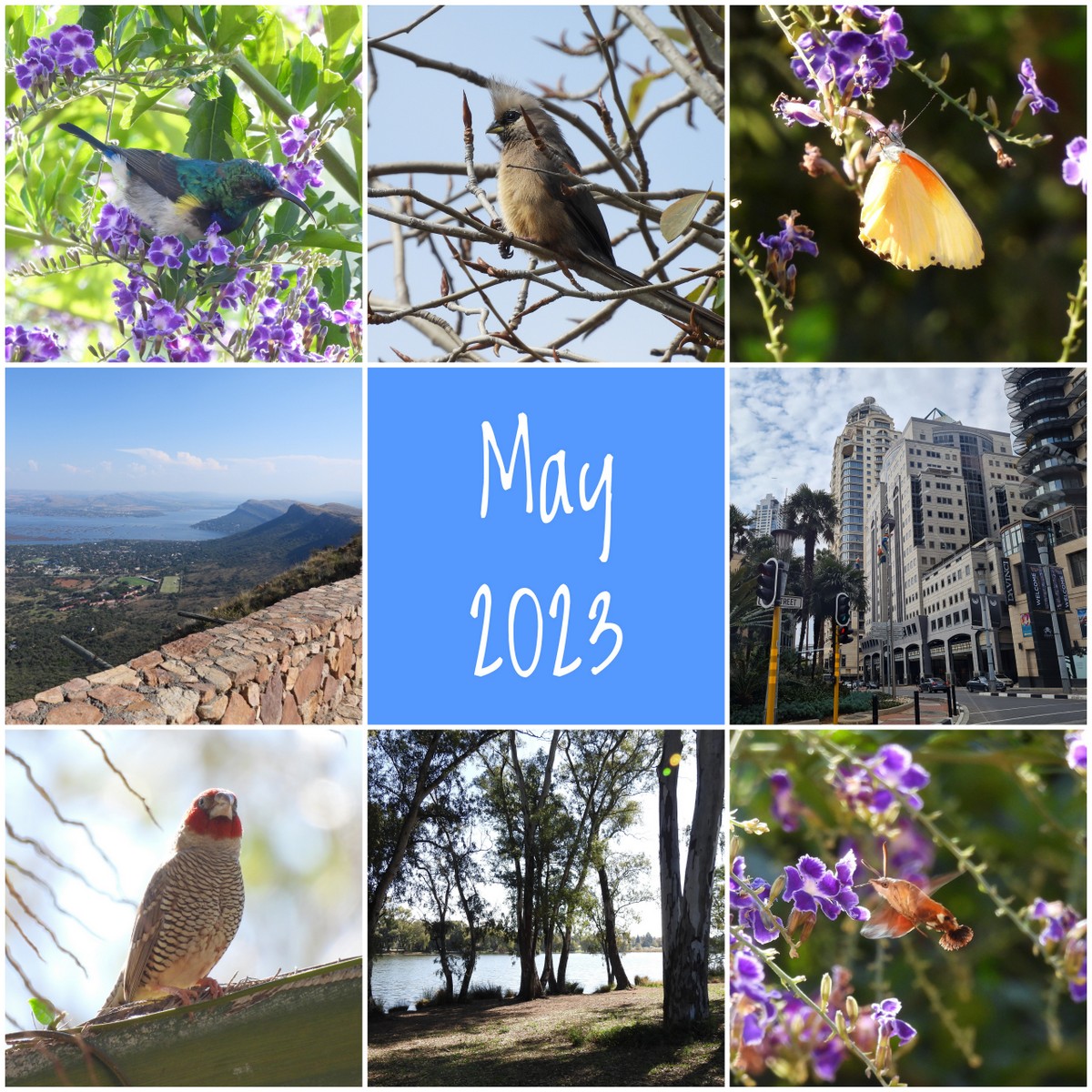 May 2023 | Hermien's Photo Project