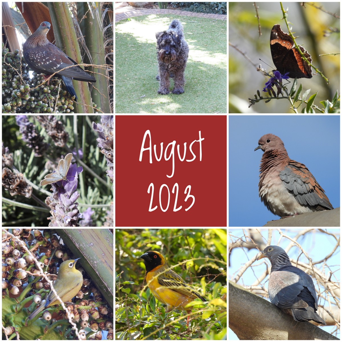August 2023 | Hermien's Photo Project